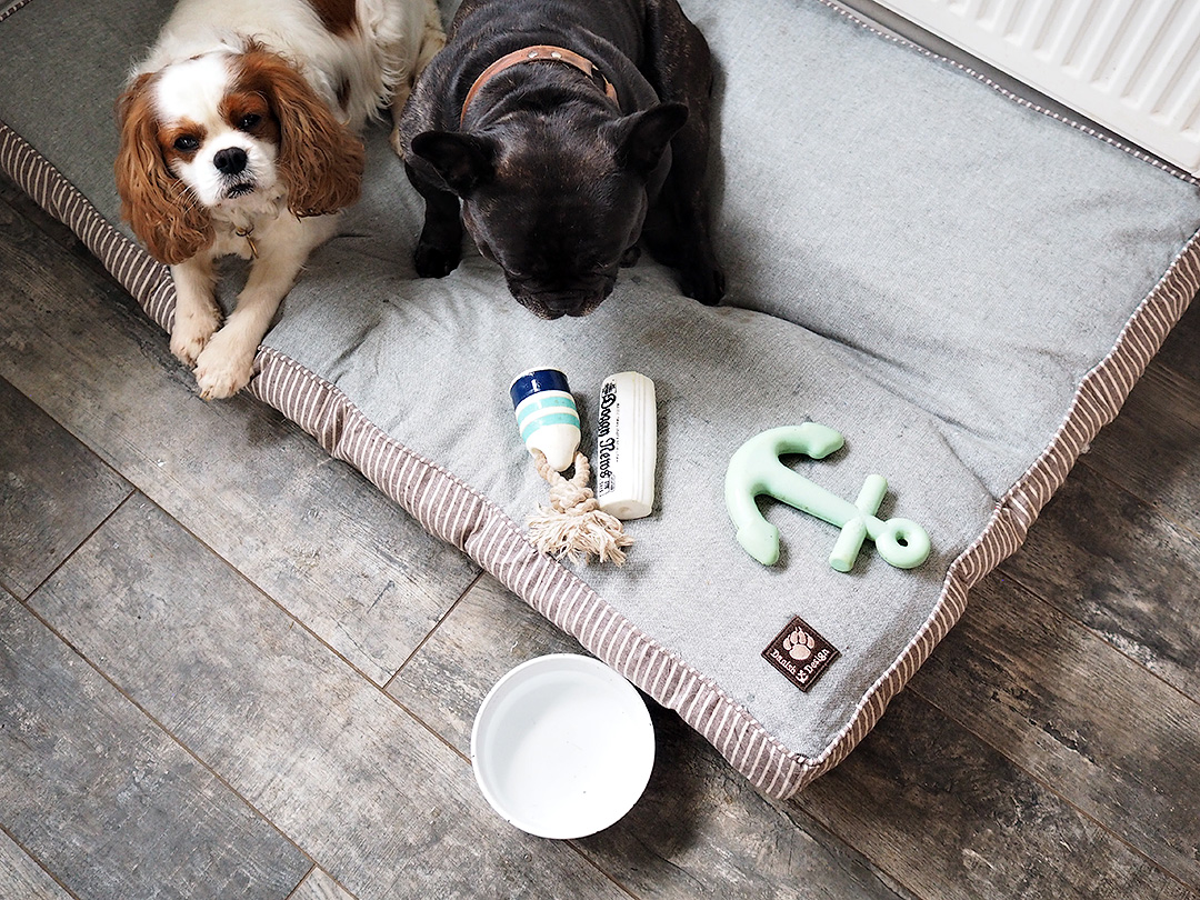 Danish Design for Dogs | Lust Living