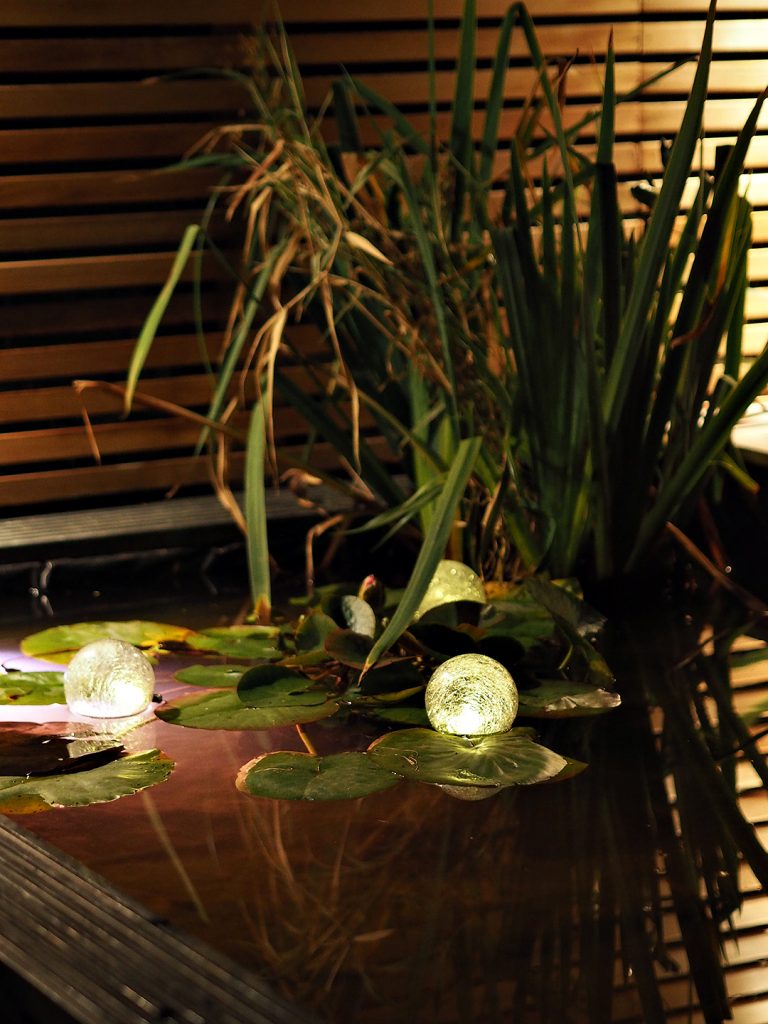 DIY How To Build a Modern Pond | Lust Living